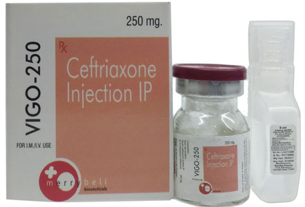 Injectable Section